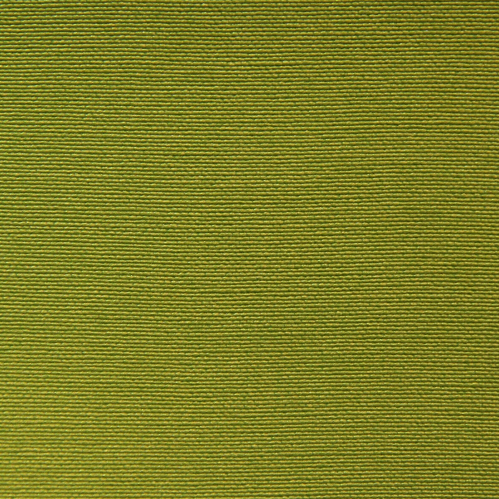SILVERTEX 5008 PISTACHO